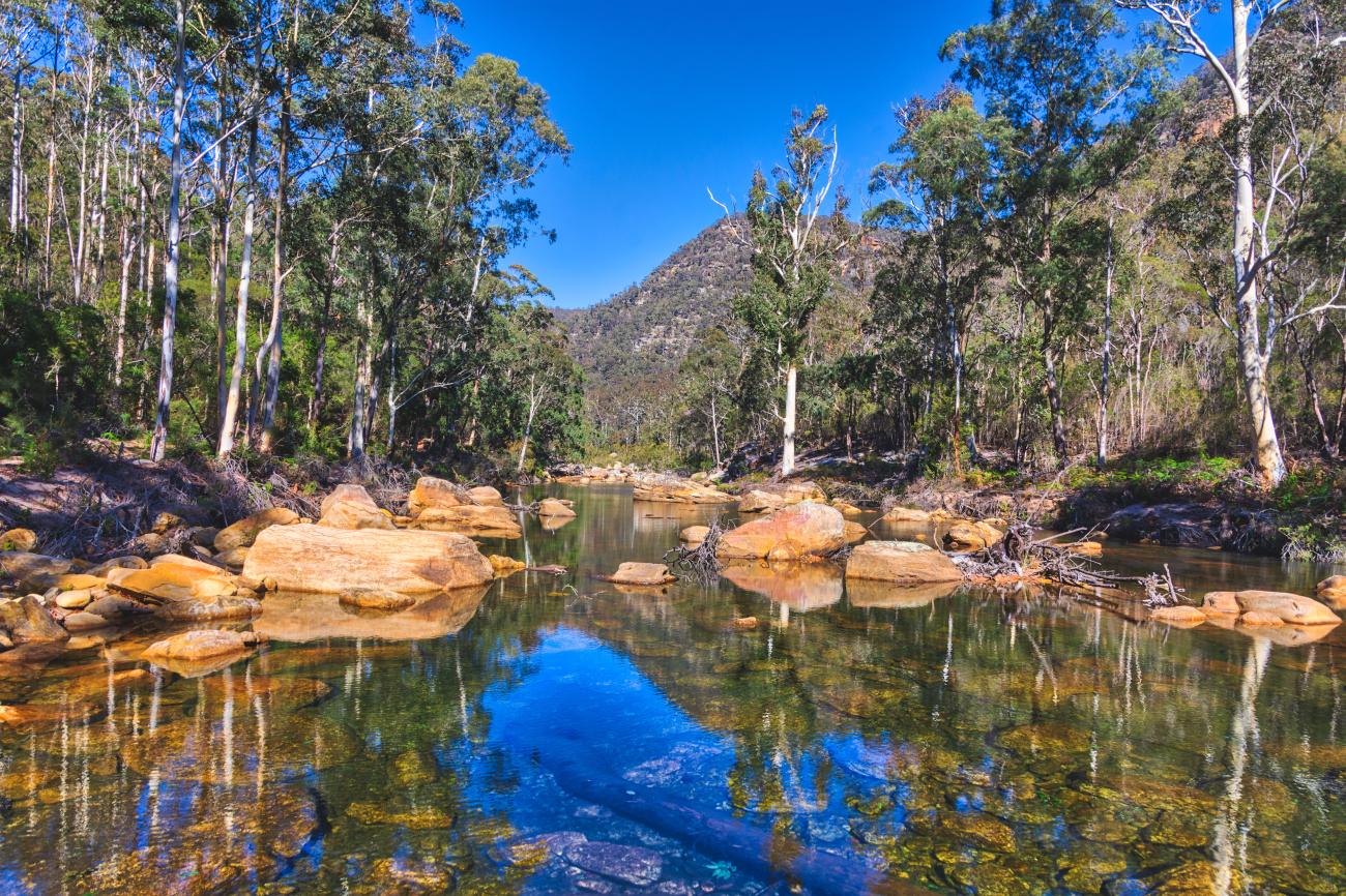 Nature-based Solutions protecting Australia from floods | NEMA