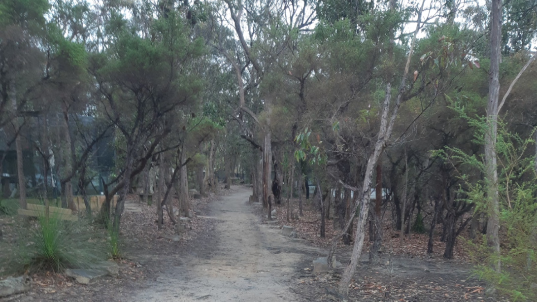 Walkabout Fire Trail upgrade: Protecting culture, community and ...