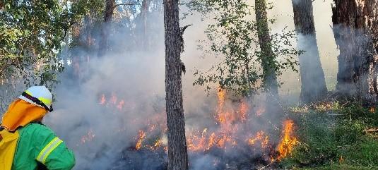 Integrating Indigenous land management in Cardinia Shire | NEMA